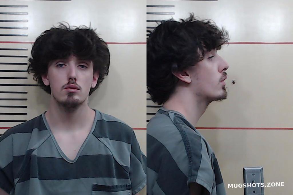 DAVIS DYLAN DUSTIN 06/01/2025 - Parker County Mugshots Zone