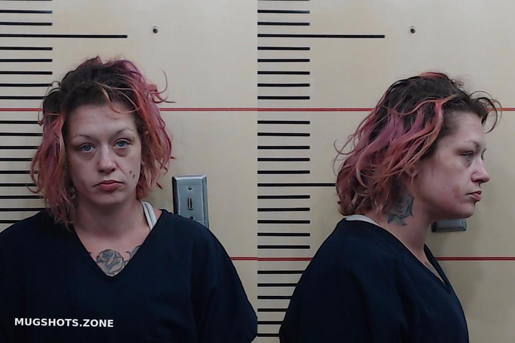 SIMMONS MISTY DAWN 06/20/2025 - Parker County Mugshots Zone