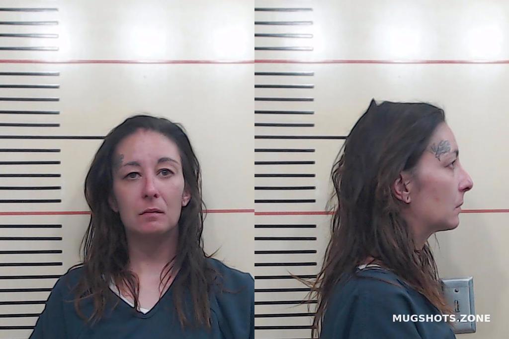 WHEATON SARAH DANYEL 06/21/2025 - Parker County Mugshots Zone