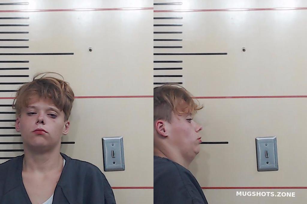 MOSS MERCEDES ELIZABETH ANN 06/25/2025 - Parker County Mugshots Zone