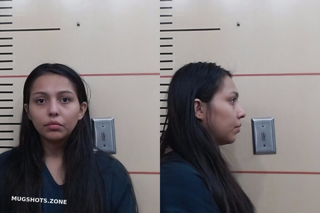 CHEVEZ-BATRES CINDY CRISTINA 12/31/2025 - Parker County Mugshots Zone