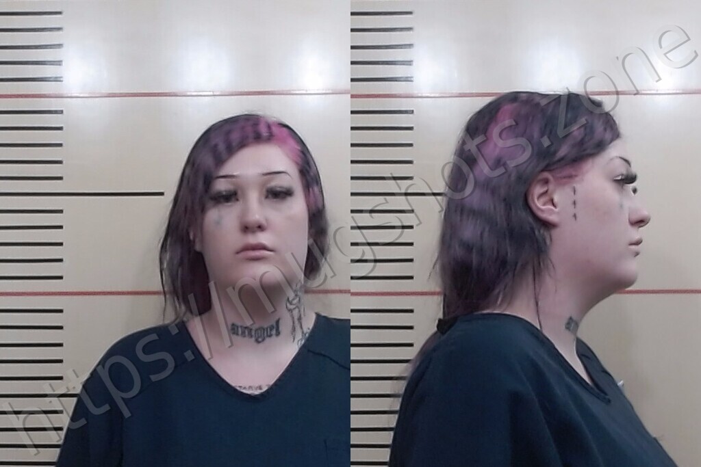 WILLIAMS TORI LANAE 04/15/2026 - Parker County Mugshots Zone