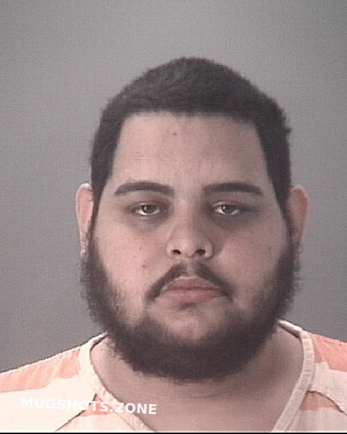 ROLDAN DYLAN RUBEN 06/20/2021 - Pasco County Mugshots Zone