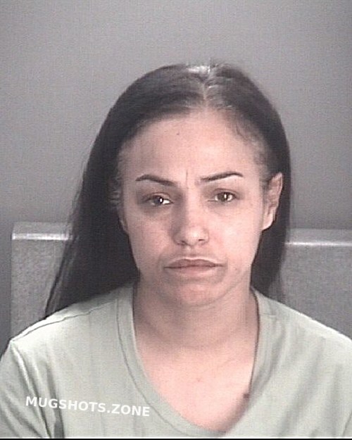 SANTOS LIZ SUJEIRY 01/02/2022 - Pasco County Mugshots Zone