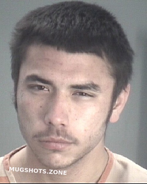 BUSH DAEMON DAKOTA 01/18/2022 - Pasco County Mugshots Zone