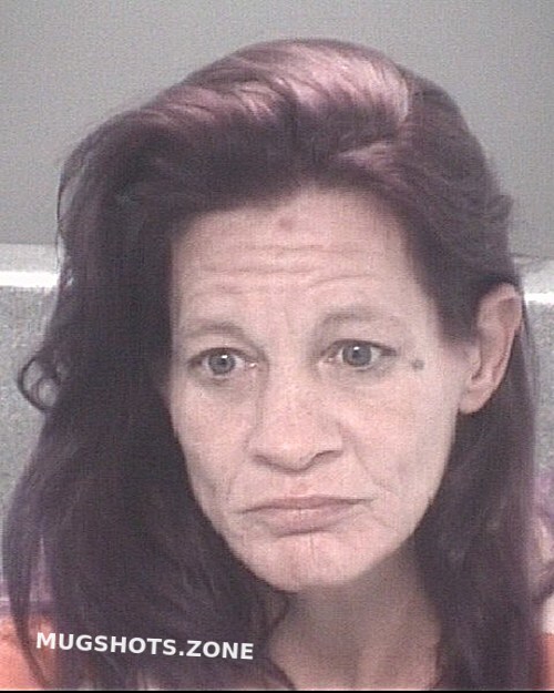 DAVIS CRYSTAL ANN 01/28/2022 - Pasco County Mugshots Zone
