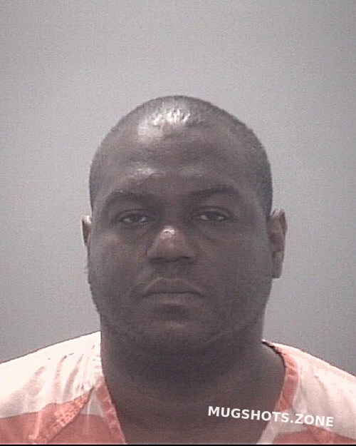 RUFFIN DOMINIQUE DIMITRI 03/01/2022 - Pasco County Mugshots Zone