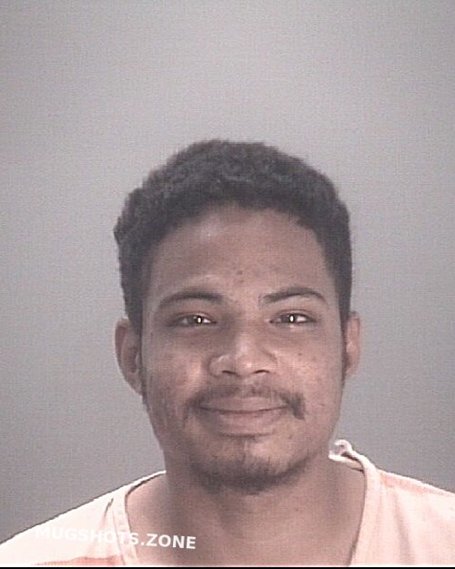 BRAND CHRISTOPHER ANDREW 06/01/2022 - Pasco County Mugshots Zone