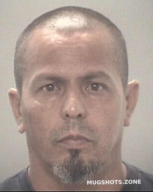 LOPEZ FERNANDO JAVIER 06/08/2022 - Pasco County Mugshots Zone