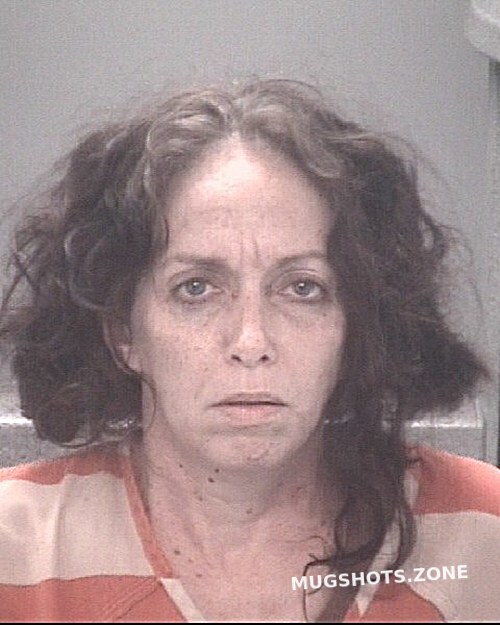 DESIMONE BONNIE LYNETTE 08/23/2022 - Pasco County Mugshots Zone