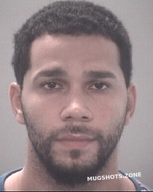DOMENECH DAVID 08/30/2022 - Pasco County Mugshots Zone