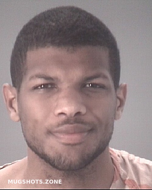 BROWN SEAN CAMERON 10/24/2022 - Pasco County Mugshots Zone