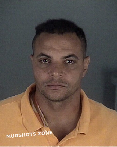BROWN RICHARD TRAINOR 10/27/2022 - Pasco County Mugshots Zone