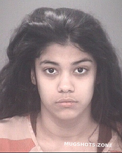 SEPULVEDA SARIAH ANGEL 11/02/2022 - Pasco County Mugshots Zone