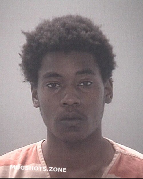 FRANCIS TRISTAN KYLE 11/03/2022 - Pasco County Mugshots Zone