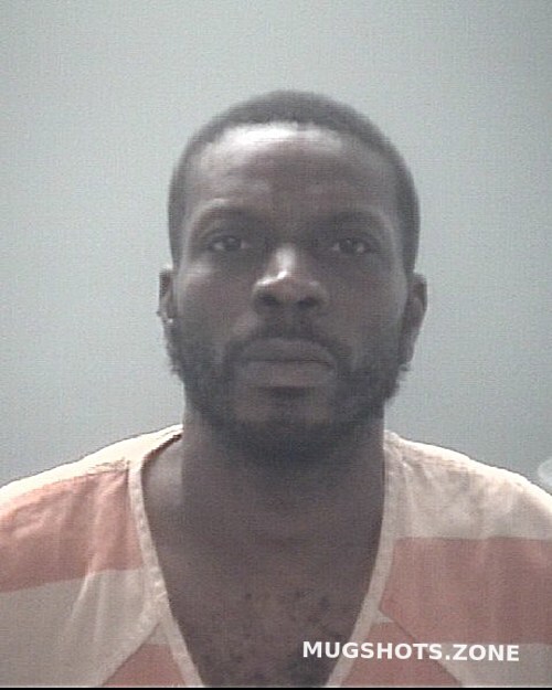 HARRIS DANNY EARL JR 11/11/2022 - Pasco County Mugshots Zone