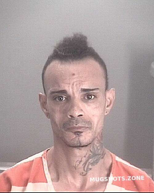 DANYLUK ISAAC TONY 11/16/2022 - Pasco County Mugshots Zone