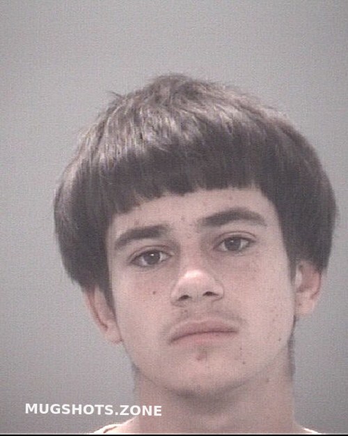 ARTHUR LOGAN RILEY 11/19/2022 - Pasco County Mugshots Zone