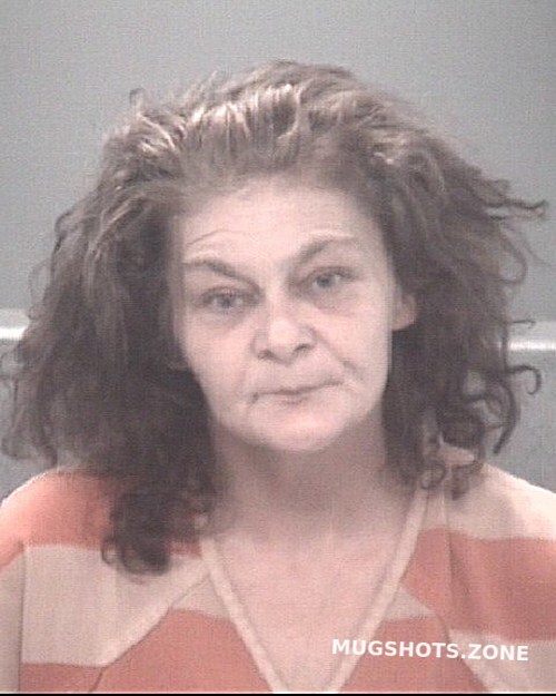 DONAGHY PATRICIA SUSAN 11/24/2022 - Pasco County Mugshots Zone