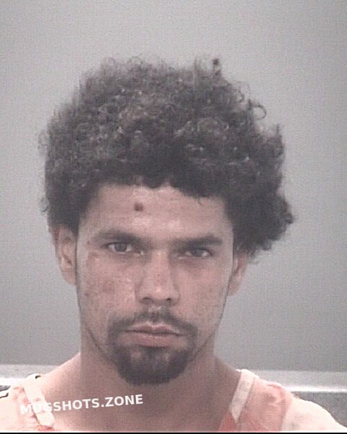 RIOS-DELVALLE ISAIAS DANIEL 11/25/2022 - Pasco County Mugshots Zone