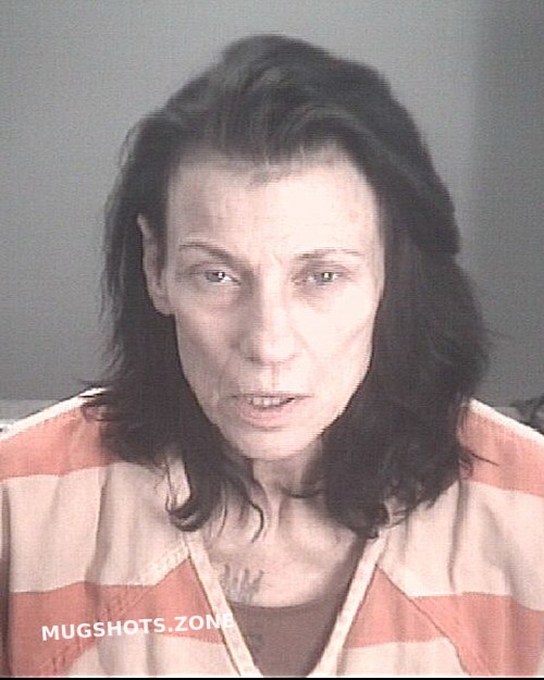 SABO MICHELLE BERNETTE 12/11/2022 - Pasco County Mugshots Zone