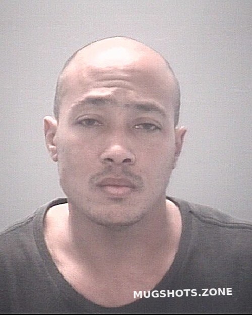 MCNEIL JUSTIN STERLING 12/25/2022 - Pasco County Mugshots Zone