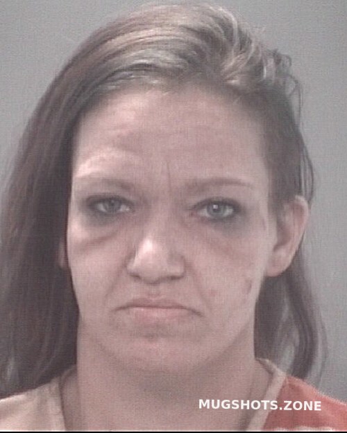 HOWE ELIZABETH LESLIE 12/28/2022 - Pasco County Mugshots Zone