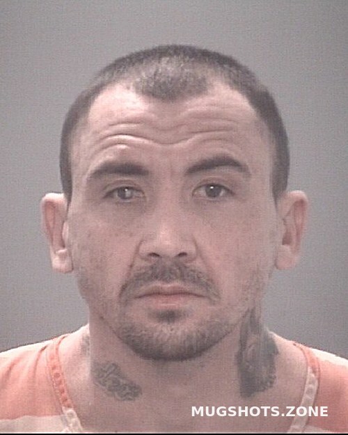 BAUDER KENNETH WAYNE 12/29/2022 - Pasco County Mugshots Zone BAUDER KENNETH WAYNE 12/29/2022 - Pasco County Mugshots Zone