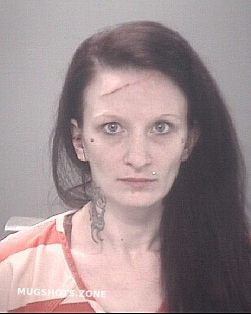 SCHIRE LAURA LEE 01/29/2023 - Pasco County Mugshots Zone