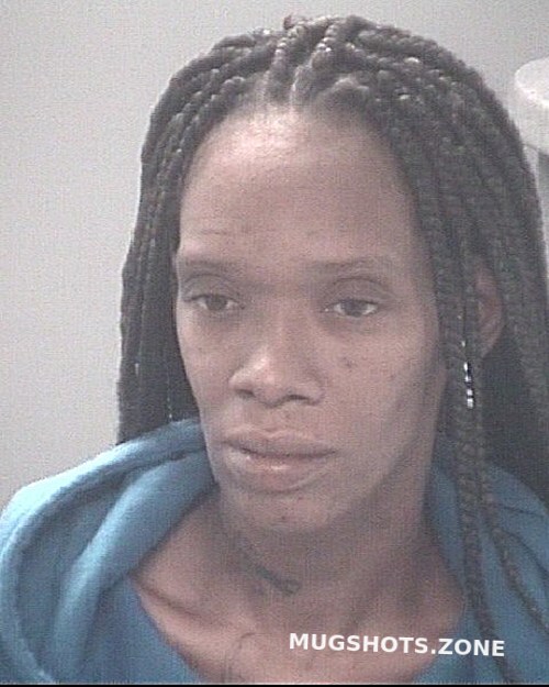 MASON ANTRONIQUE DYSHEA 02/15/2023 - Pasco County Mugshots Zone