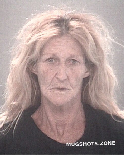 GEORGE KIM ANN 04/03/2023 - Pasco County Mugshots Zone