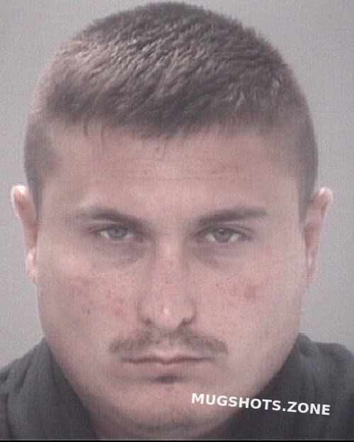 SINAVAGE THEODORE JAMES 04/05/2023 - Pasco County Mugshots Zone