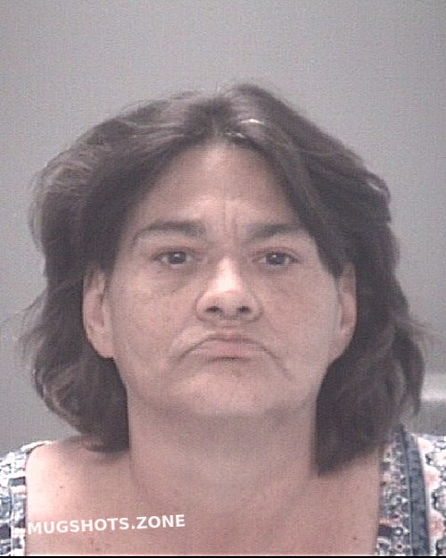 MINA ALICIA ANN 05/26/2023 - Pasco County Mugshots Zone