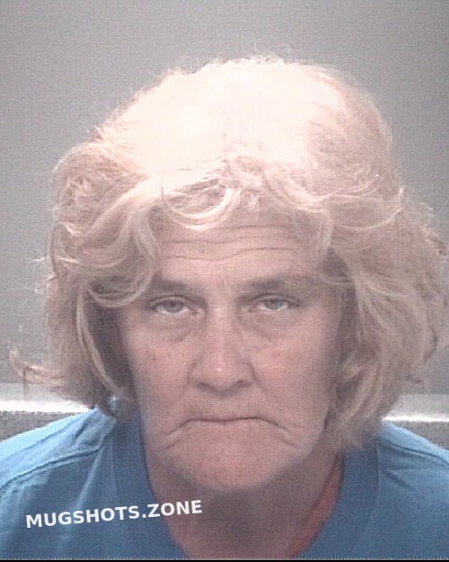 COOK HEIDI ANN 10/09/2023 - Pasco County Mugshots Zone