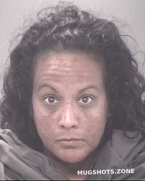 TORRES JANICE 11/03/2023 - Pasco County Mugshots Zone