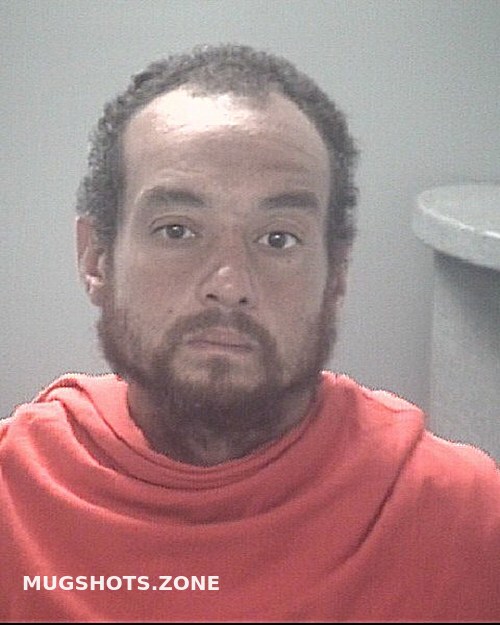 TORRES NICHOLAS STEVEN 11/09/2023 - Pasco County Mugshots Zone
