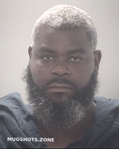 JAMES MICHAEL LITTLE 11/13/2023 - Pasco County Mugshots Zone