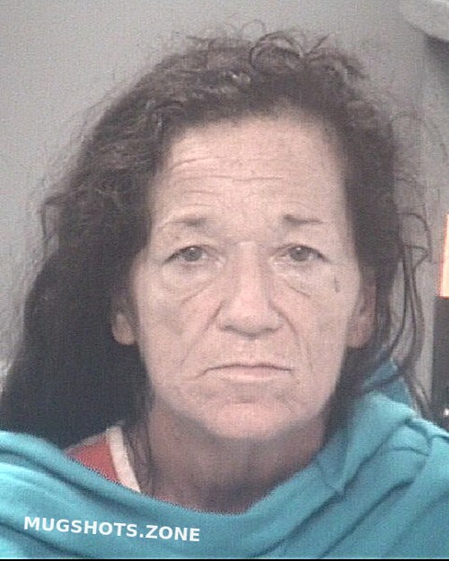 GREEN DEBORAH L 11/14/2023 - Pasco County Mugshots Zone