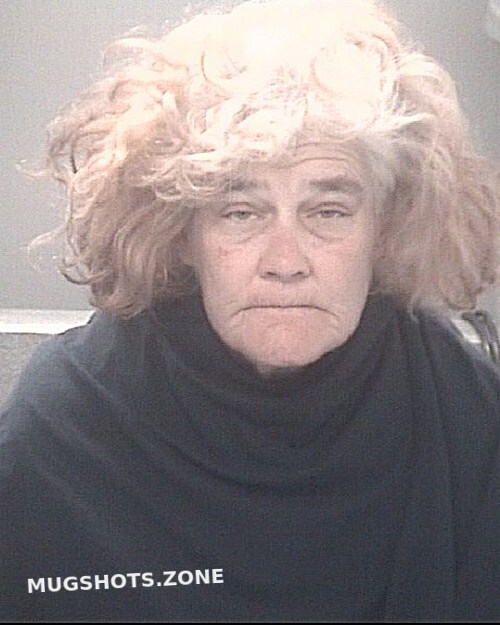COOK HEIDI ANN 12/26/2023 - Pasco County Mugshots Zone