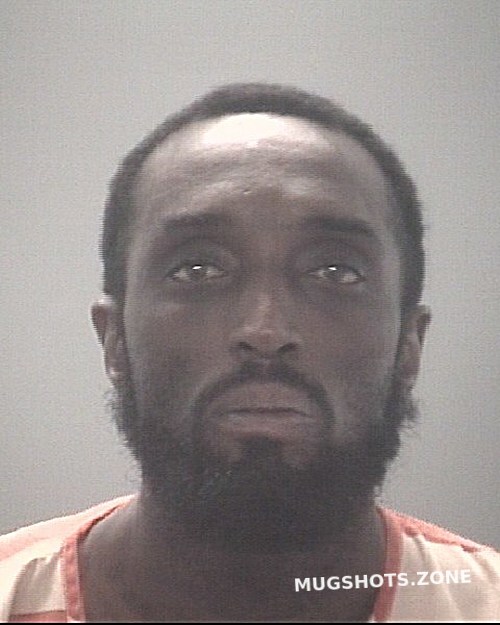 SOUTHALL BRIAN TONY 01/03/2024 - Pasco County Mugshots Zone