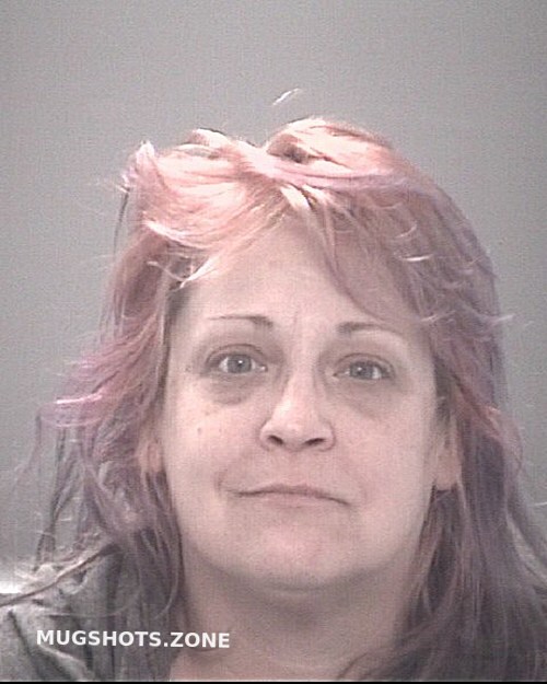 HAYNES KIM MARIE 01/11/2024 - Pasco County Mugshots Zone