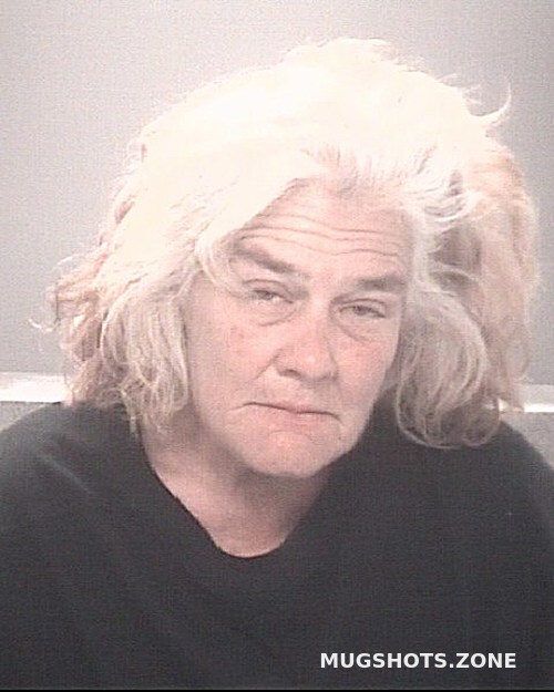 COOK HEIDI ANN 02/07/2024 - Pasco County Mugshots Zone