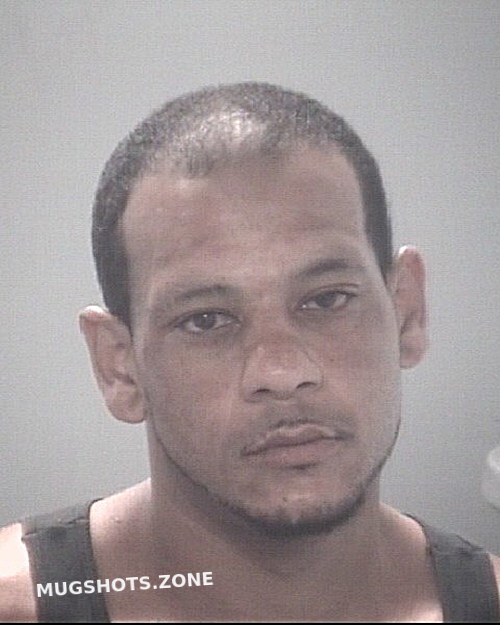 MILLER STEPHEN CARLOS 03/03/2024 - Pasco County Mugshots Zone