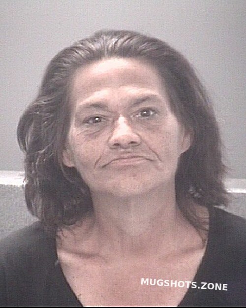 MINA ALICIA ANN 03/04/2024 - Pasco County Mugshots Zone