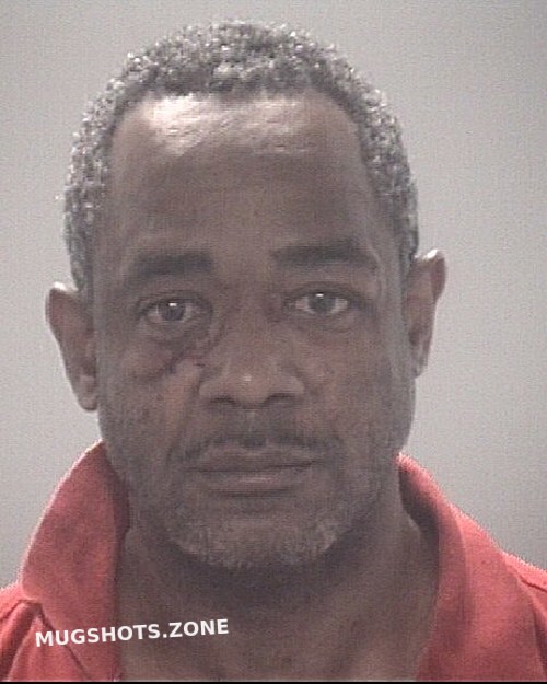 MCKENZIE FITZROY ANTHONY 03/28/2024 - Pasco County Mugshots Zone