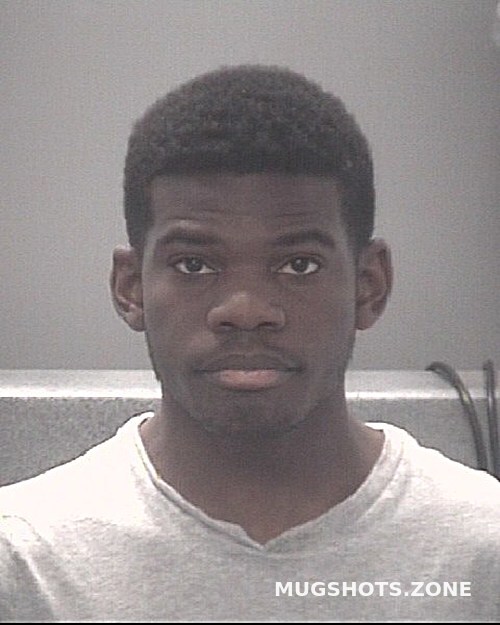 VAUGHN DARRELL JAMES 04/12/2024 - Pasco County Mugshots Zone