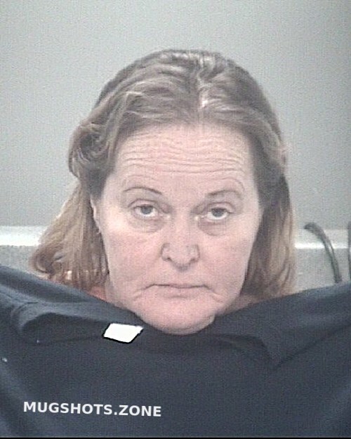 CHAMBERS DEBORAH ANN 04/16/2024 - Pasco County Mugshots Zone