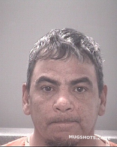 RODELA MICHAEL HERNANDEZ 05/03/2024 - Pasco County Mugshots Zone