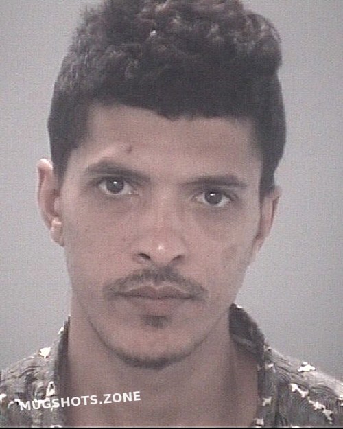 HAJEB SAMMY PHIL 05/23/2024 - Pasco County Mugshots Zone