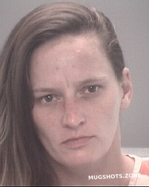 WILLIAMS JOYCE MARIE DELONG 06/07/2024 - Pasco County Mugshots Zone
